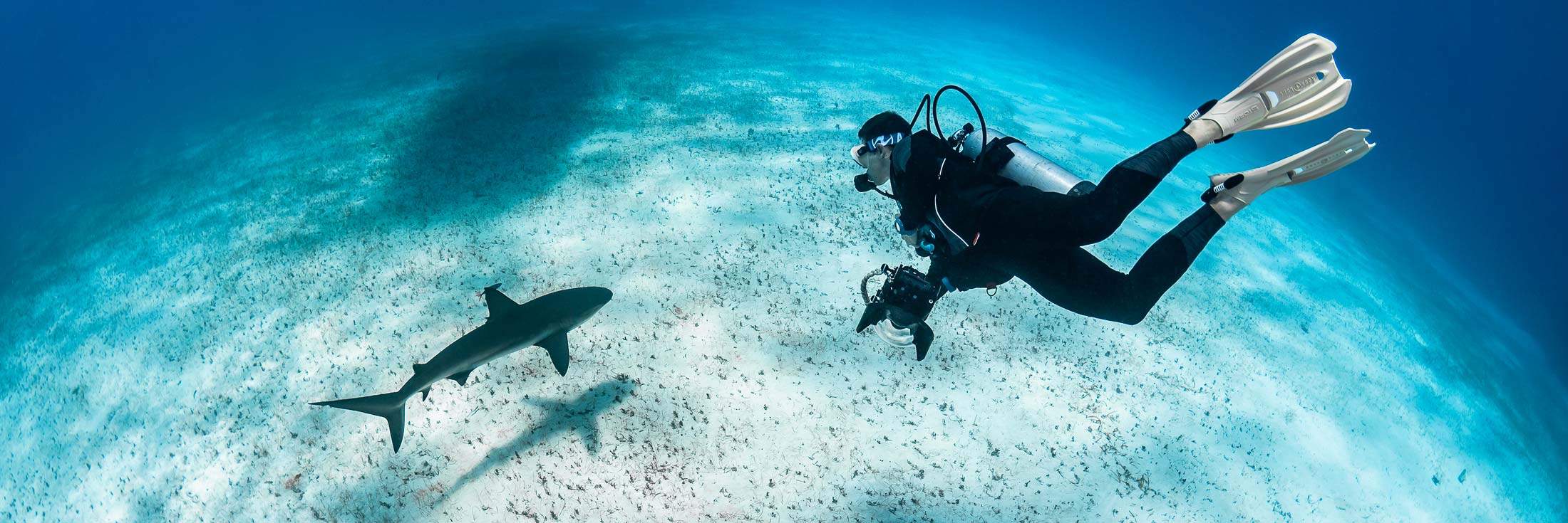 Scuba Diving fins for women and men | Aqualung®