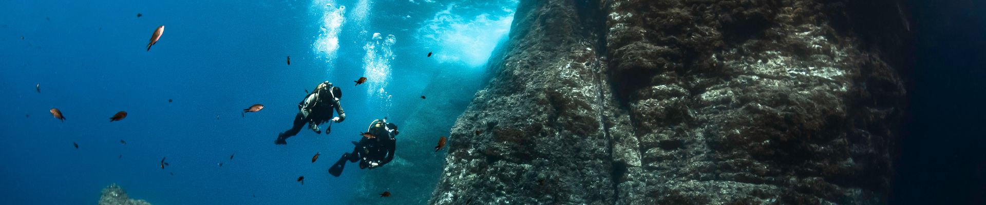 Scuba Diving Equipment and Dive Gear | Aqualung®