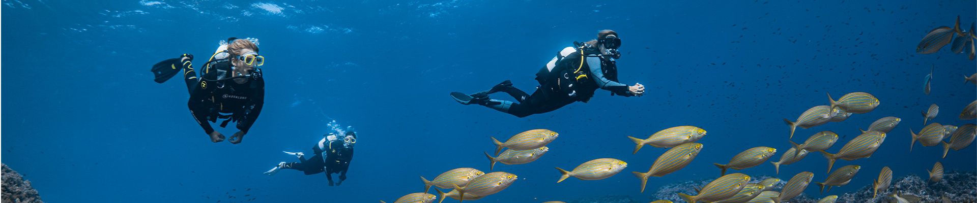 Aqualung Dive Centers: Certified Scuba Gear & Training