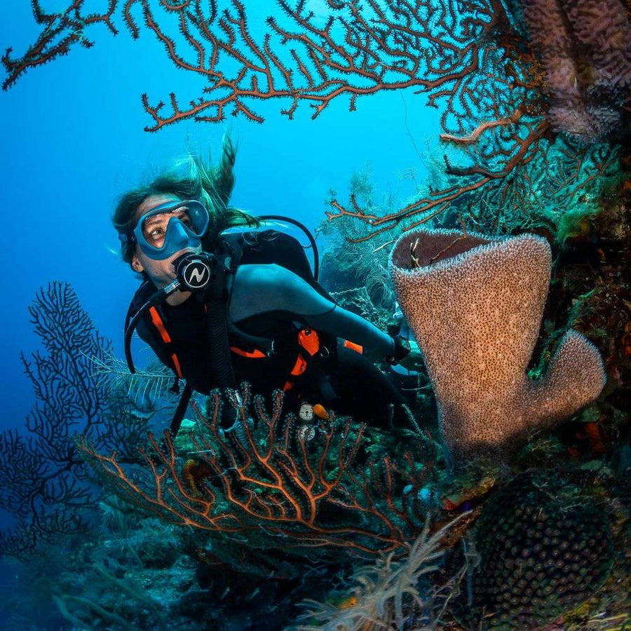 Pro HD compact: Dive BCD | Aqualung®