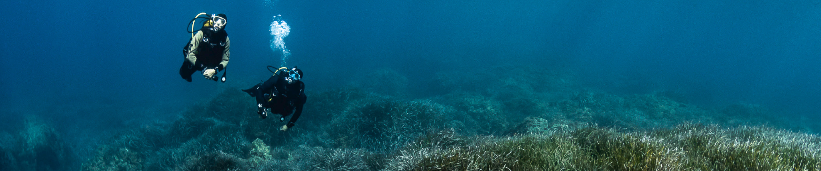 How to choose your dive BCD? | Aqualung®